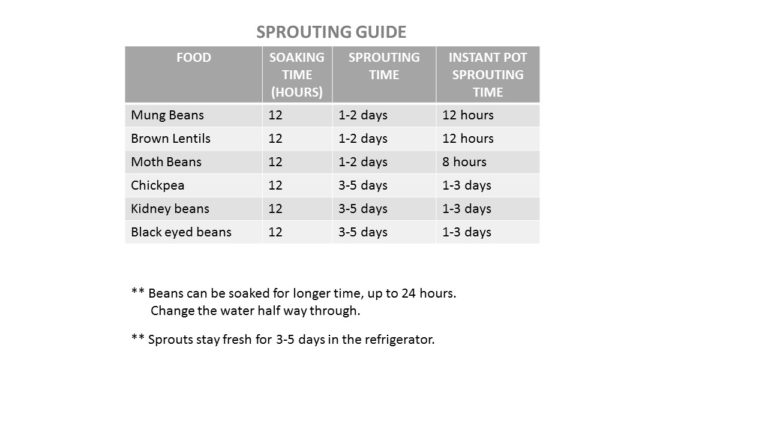 A Complete Guide To Sprouting Beans And Legumes - Living Smart And Healthy