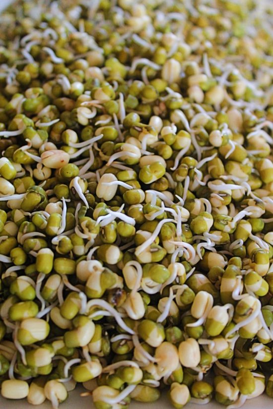 A Complete Guide To Sprouting Beans And Legumes - Living Smart And Healthy