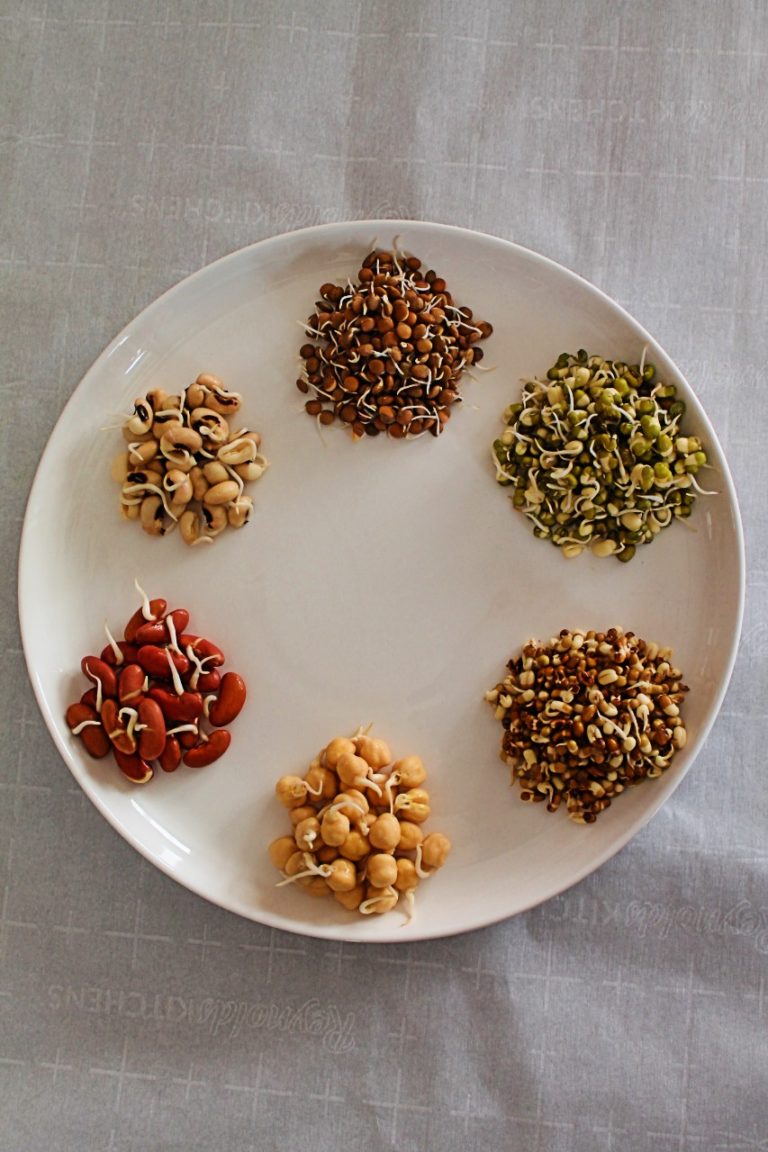A Complete Guide To Sprouting Beans And Legumes - Living Smart And Healthy