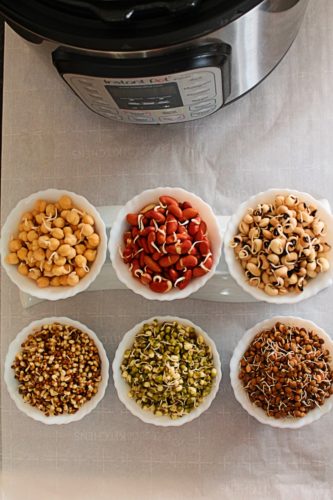 A Complete Guide To Sprouting Beans And Legumes - Living Smart And Healthy