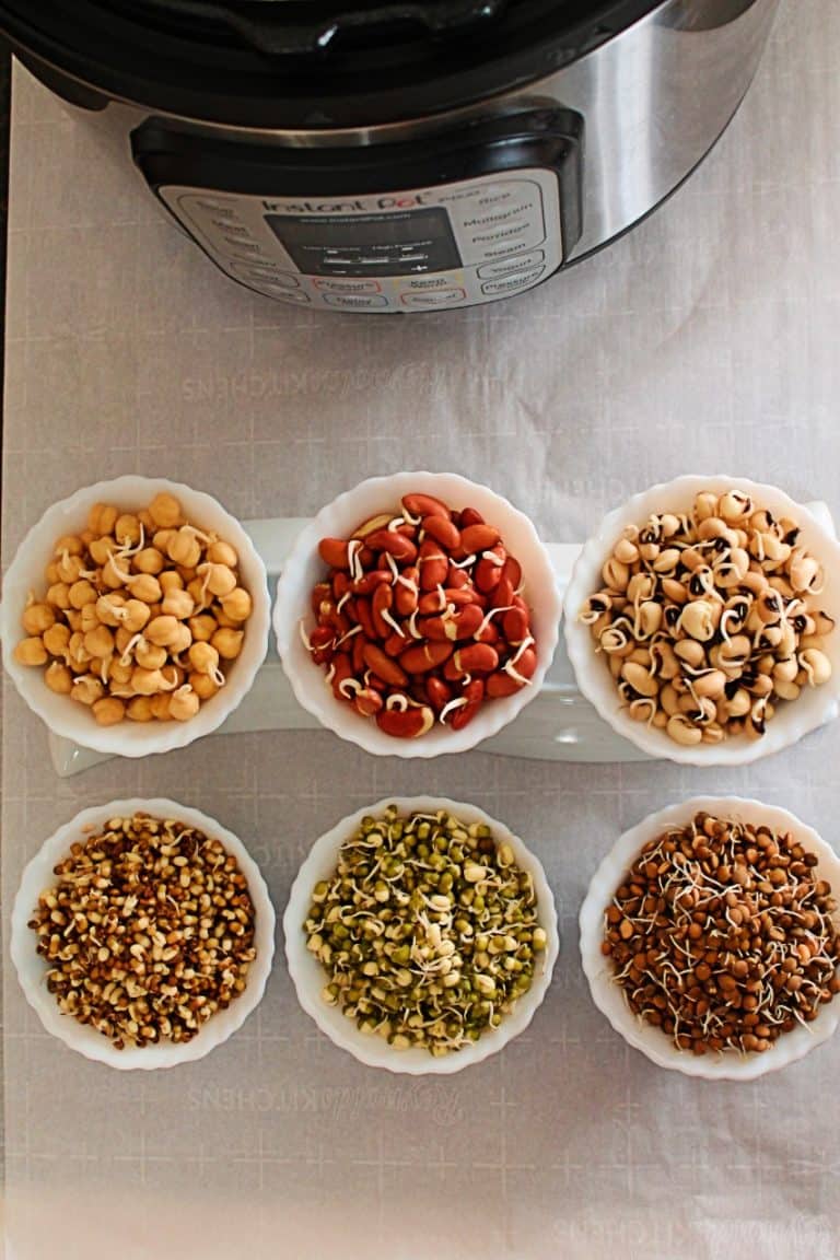 A Complete Guide To Sprouting Beans And Legumes - Living Smart And Healthy