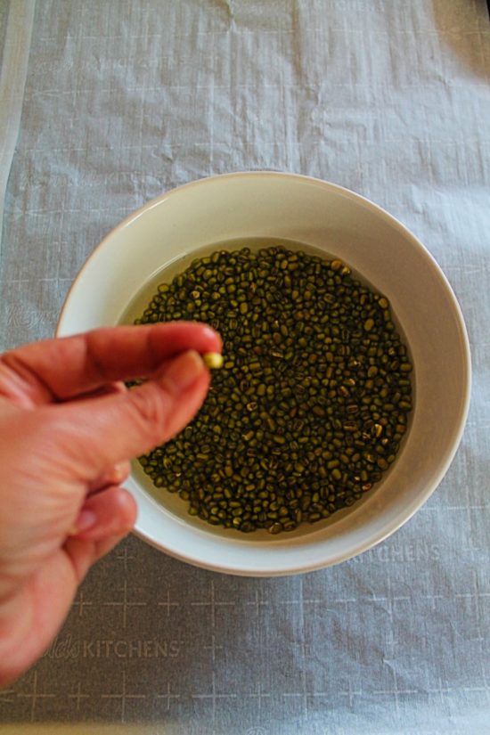 A Complete Guide To Sprouting Beans And Legumes - Living Smart And Healthy