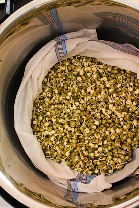 How to Sprout Lentils and Beans (Traditional & Instant Pot) - Living ...