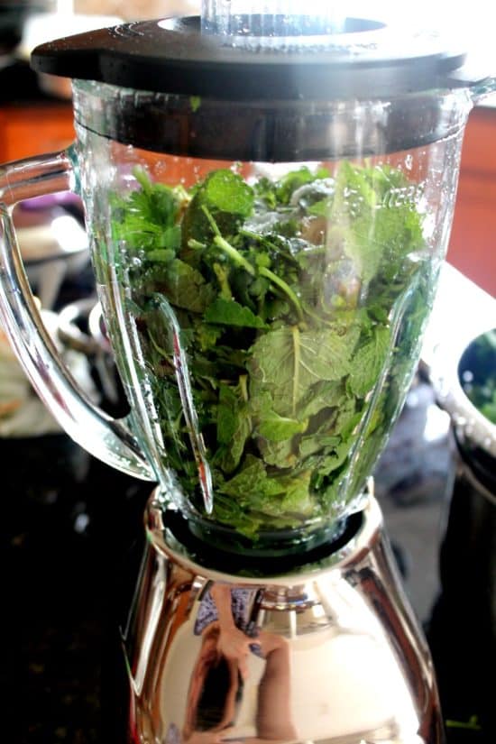 3 Flavored Pani Recipes For Pani Puri