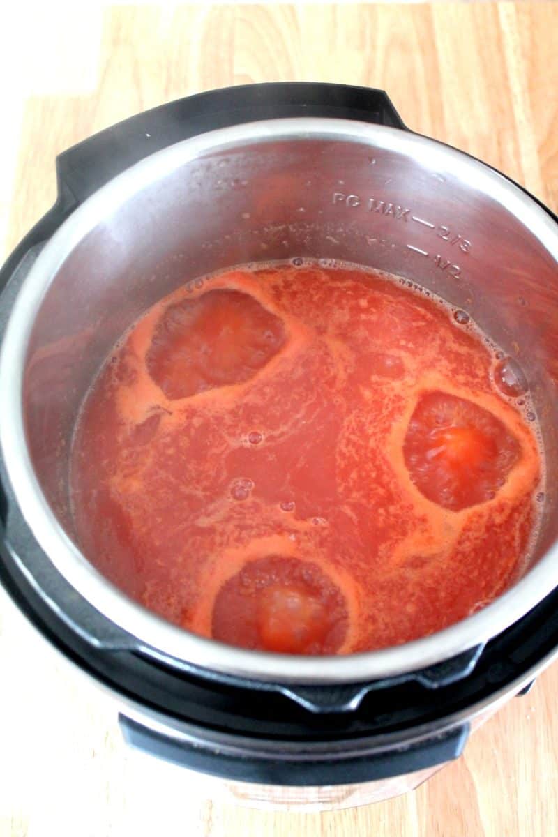 Homemade Tomato Ketchup Recipe (Instant Pot) | Fresh Tomatoes