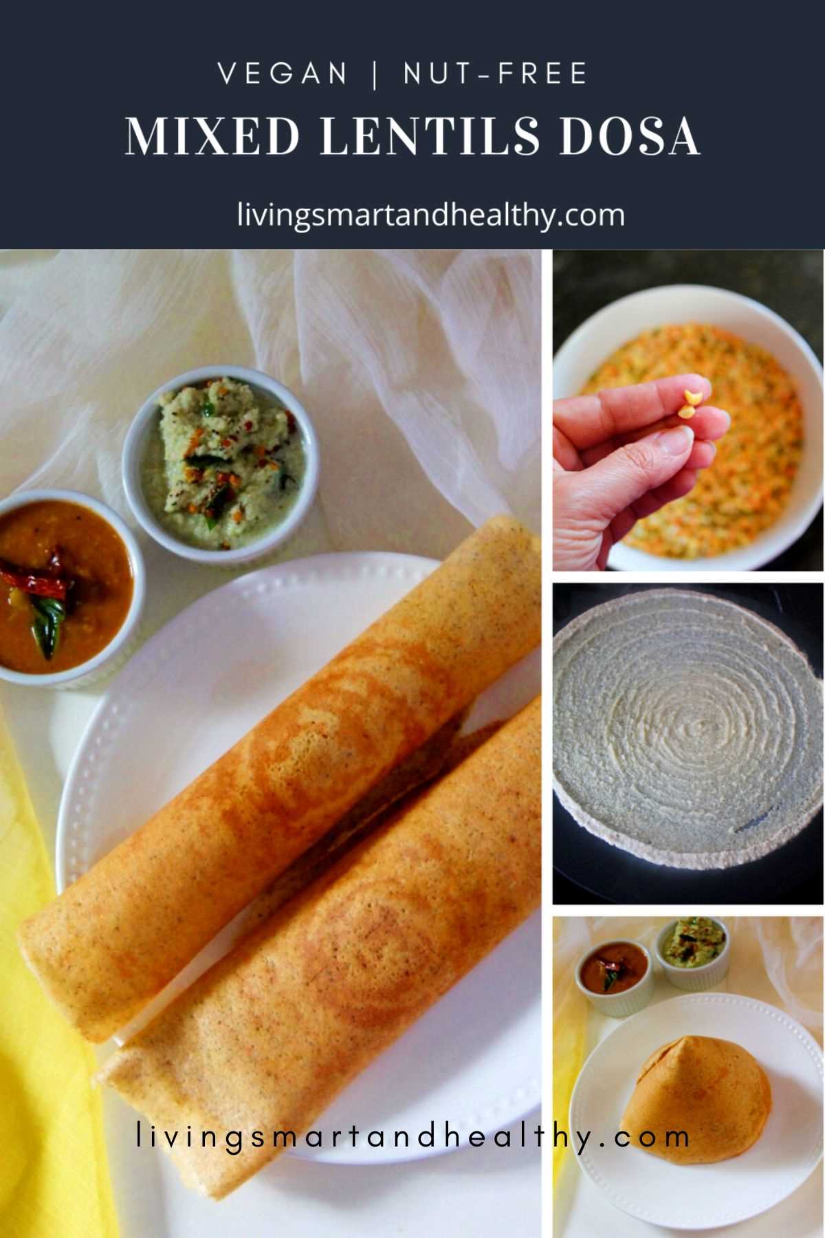 High Protein Lentil Dosa: Dal Dosa (No Rice Version)-Video - Living ...