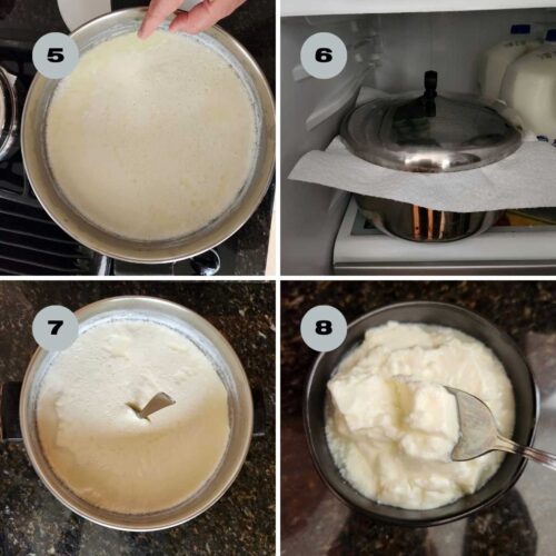 How To Make Yogurt - Living Smart And Healthy