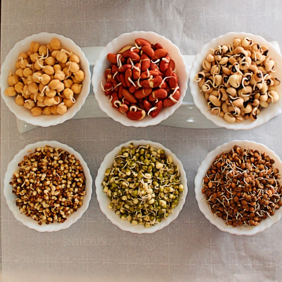 A Complete Guide To Sprouting Beans And Legumes - Living Smart And Healthy