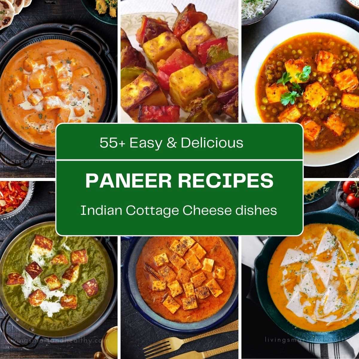Paneer Recipes | Recipes With Paneer | Indian Recipe With Paneer Cheese ...